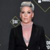 Pink Helps Dying Fan With Cancer Complete Her Bucket List – Celebrity Homes